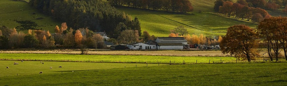 BROUGHTON BREWERY